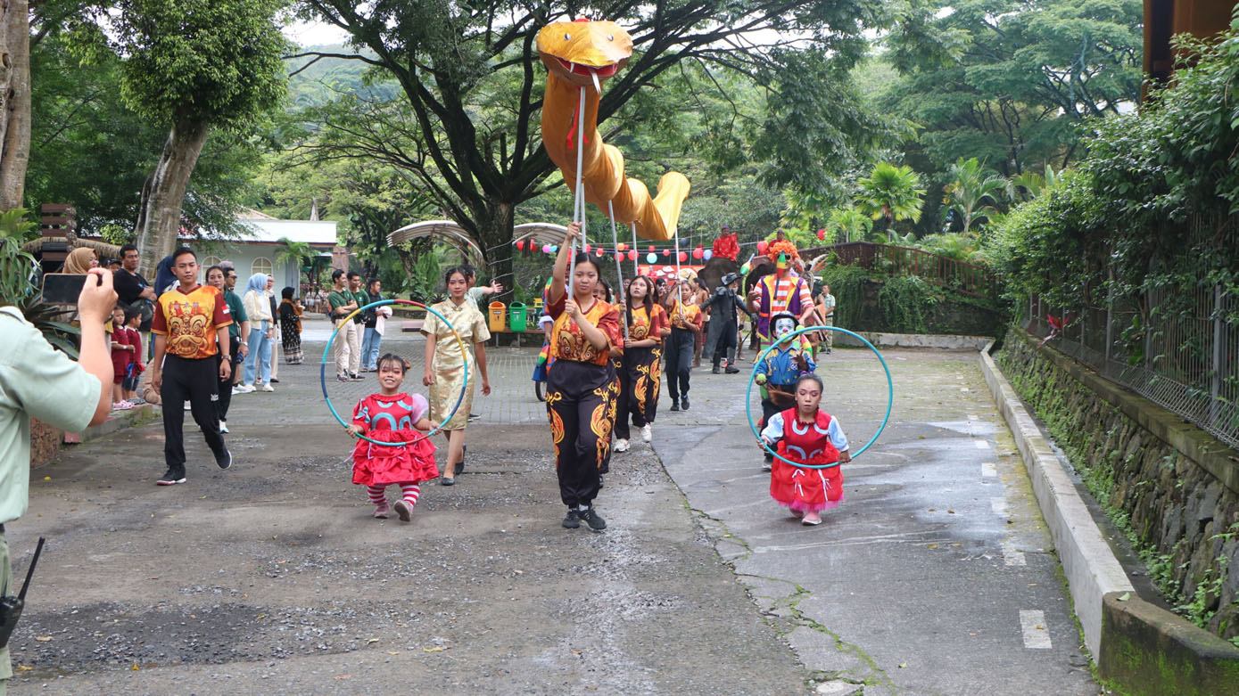 Taman Safari Prigen Hadirkan Parade Satwa dan Barongsai – Harianjatim.net
